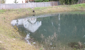 Facilities - Infiltration basin | Stormwater Partners