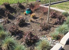 Facilities - Bioretention | Stormwater Partners